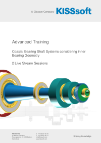 Coaxial Bearing Shaft Systems considering inner Bearing Geometry