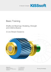 Shafts and Bearings: Modeling, Strength and Lifetime Basics